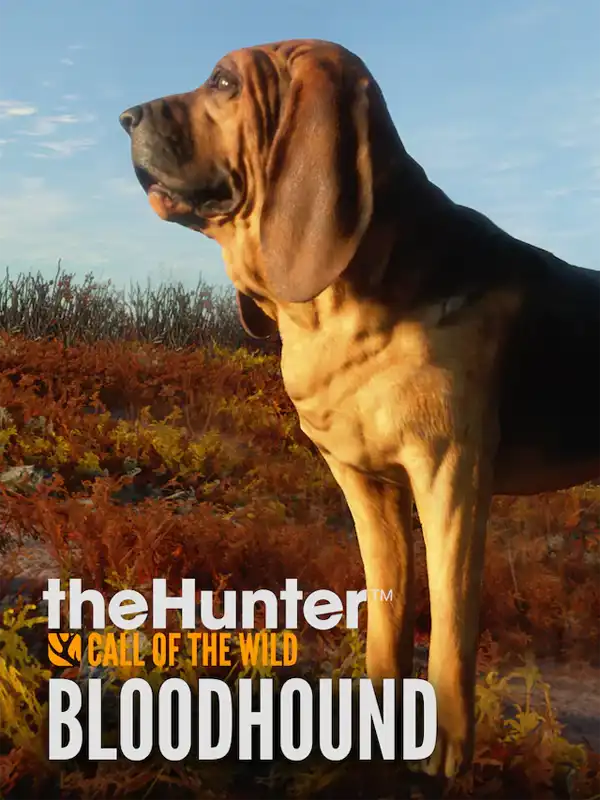 Buy cheap TheHunter: Call of the Wild - Bloodhound Key 🏷️ Best Price