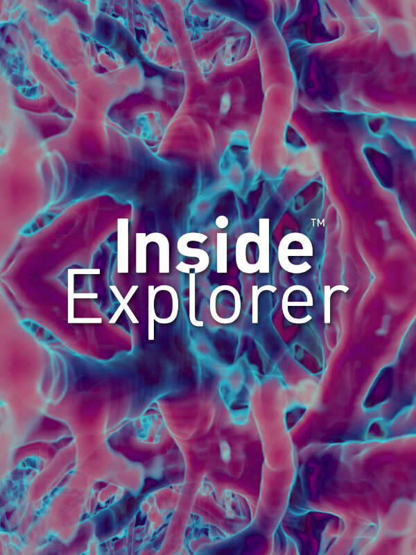 Buy Inside Explorer (Invalid Date) key for the best price 🏷️ | GameScribe