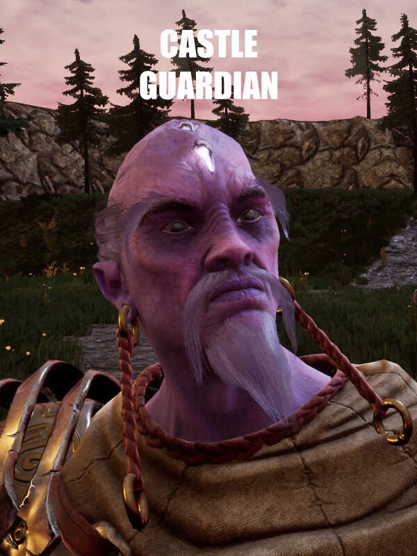 Buy cheap Castle Guardian Key 🏷️ Best Price