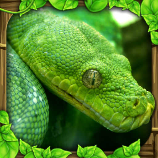 Buy cheap Snake Simulator Key 🏷️ Best Price