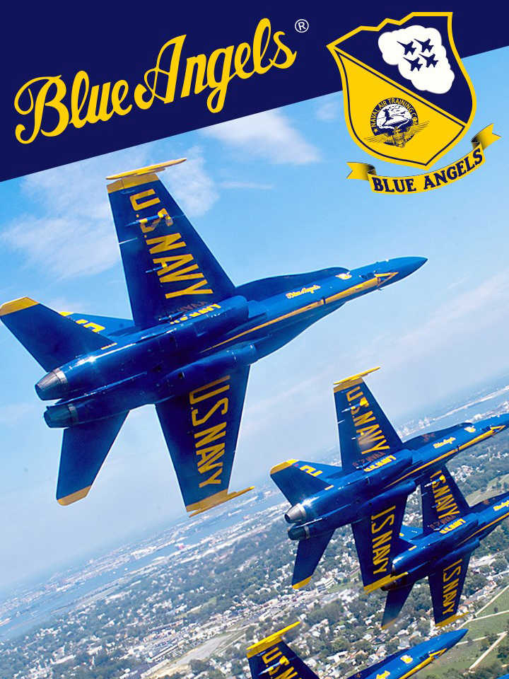 Buy Blue Angels Aerobatic Flight Simulator (2016) key for the best ...